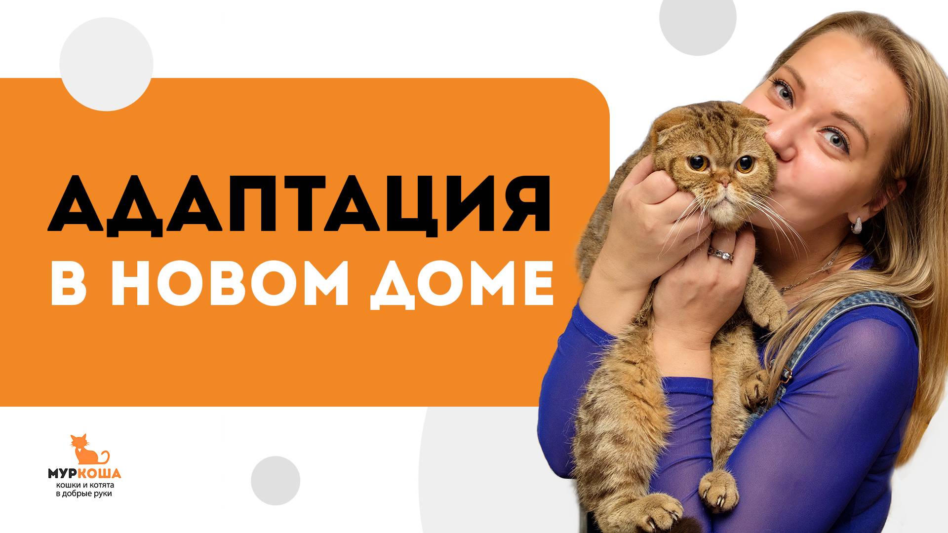 Школа  Муркоши #11. Адаптация в новом доме.