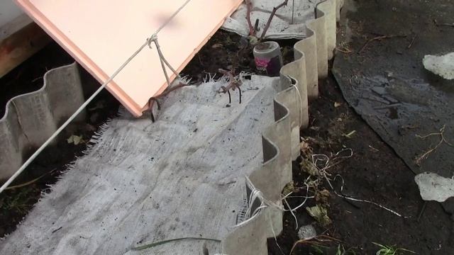 Муромцево 19 марта 2025г Весна диктует виноградарям