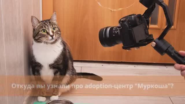 В гостях у Бусины!