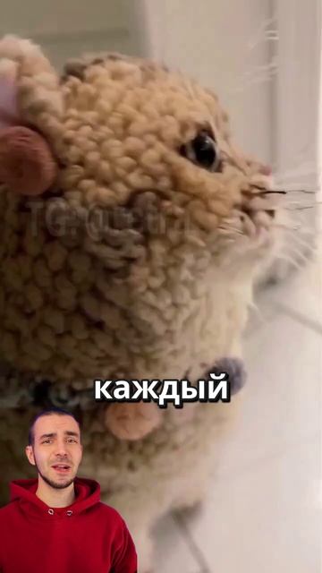 Вязаный кот