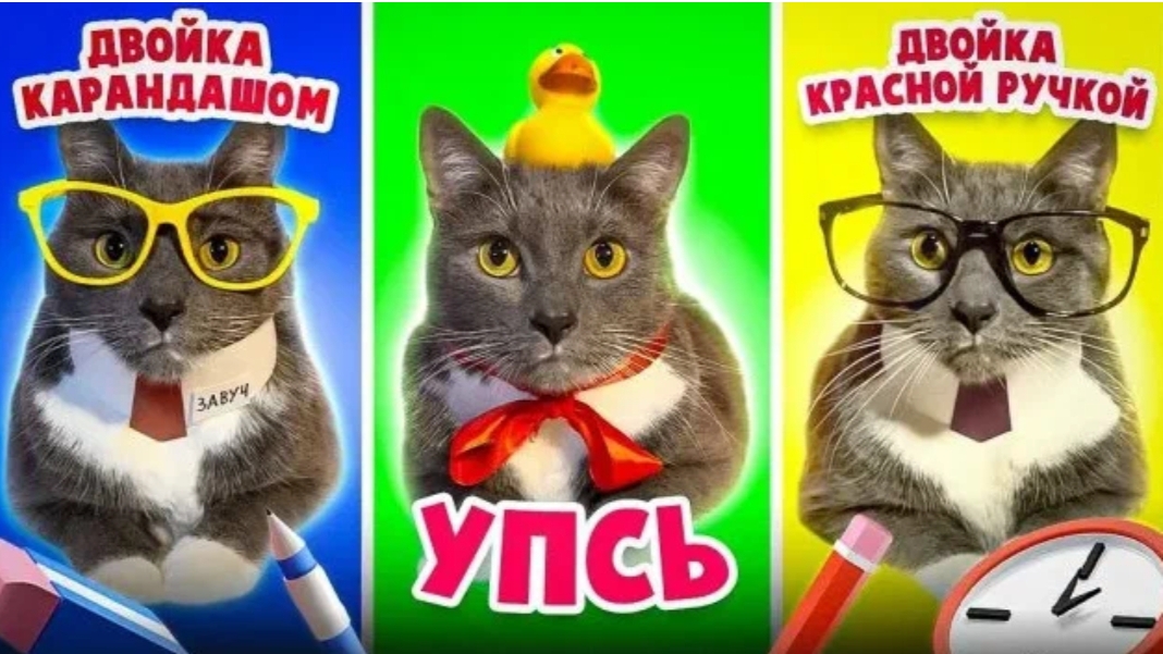 Виды учителей - если бы котики ходили в школу