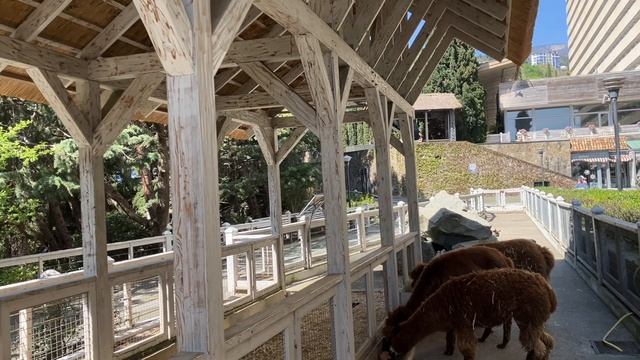 Любимый отель в Крыму. Интурист. Ялта.