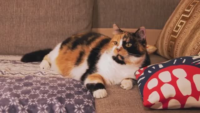 В гостях у Рузика и Ушани!