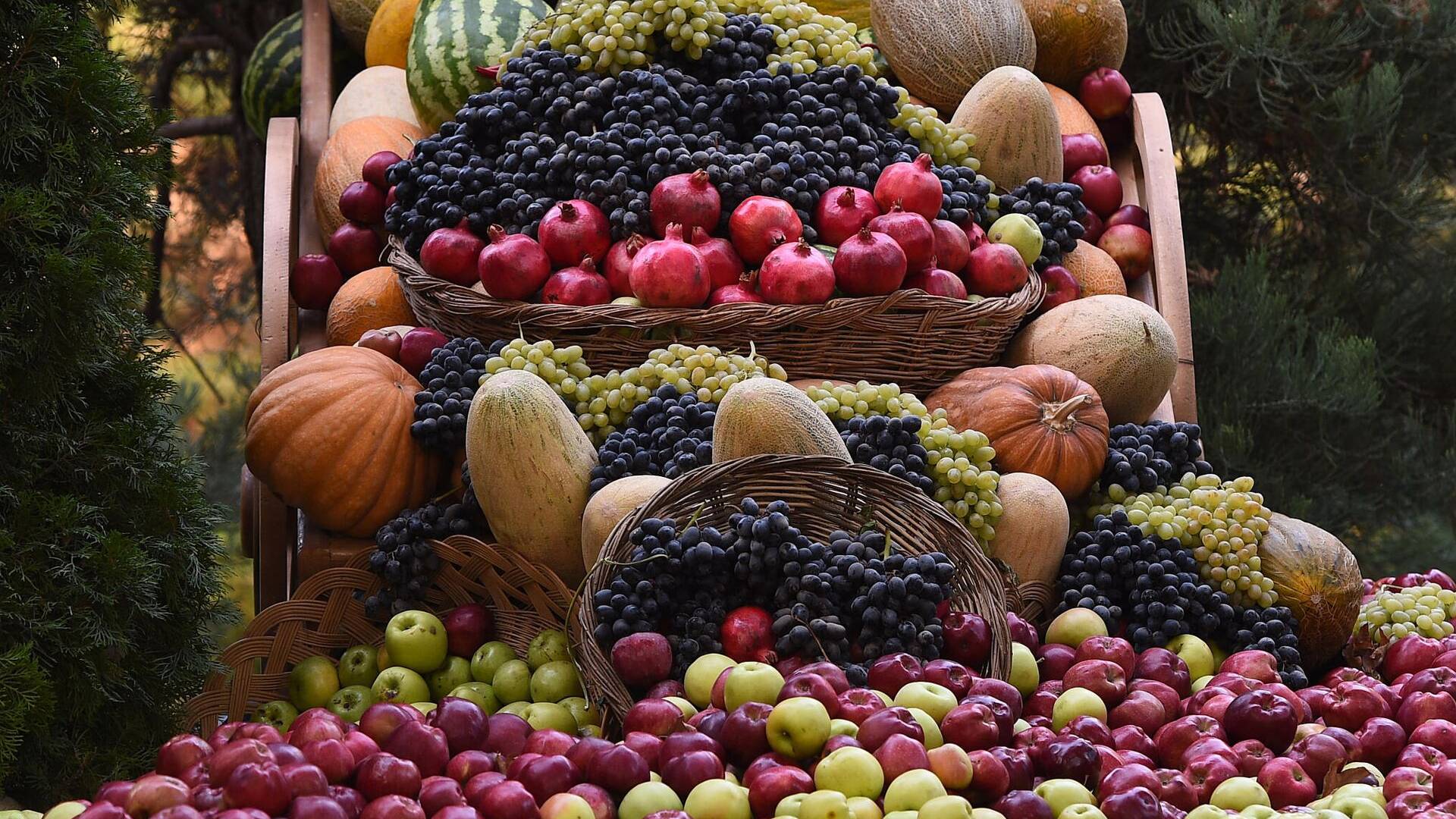 Троицкое , Алтай летом