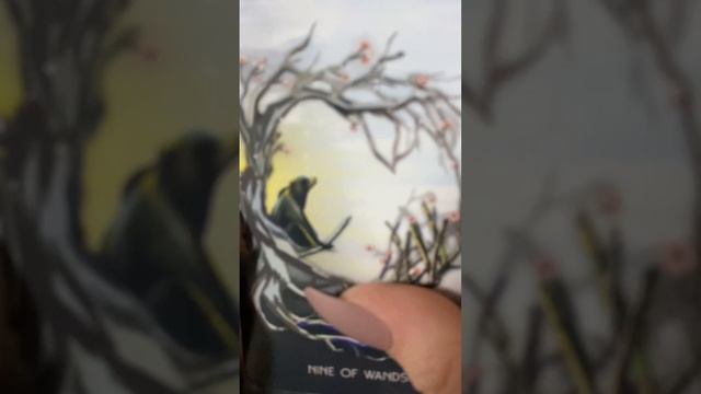 The Meraki Tarot #tarot2025 #newtarotdeck