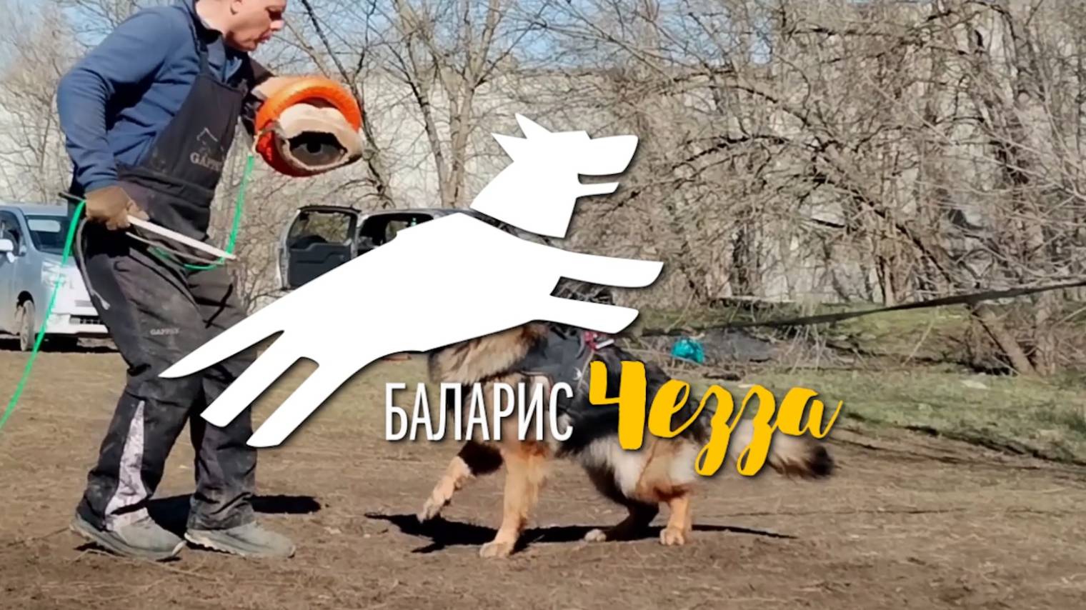 Баларис ЧЕЗЗА, 1 год 6 месяцев. Подготовка к ЗКС.