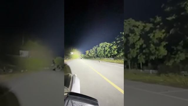 дальний свет