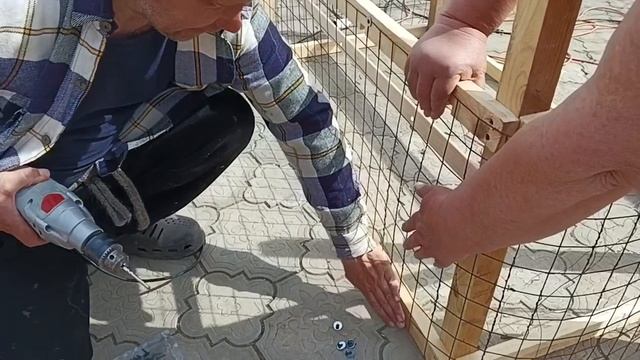 Клетки для бройлеров. Начало