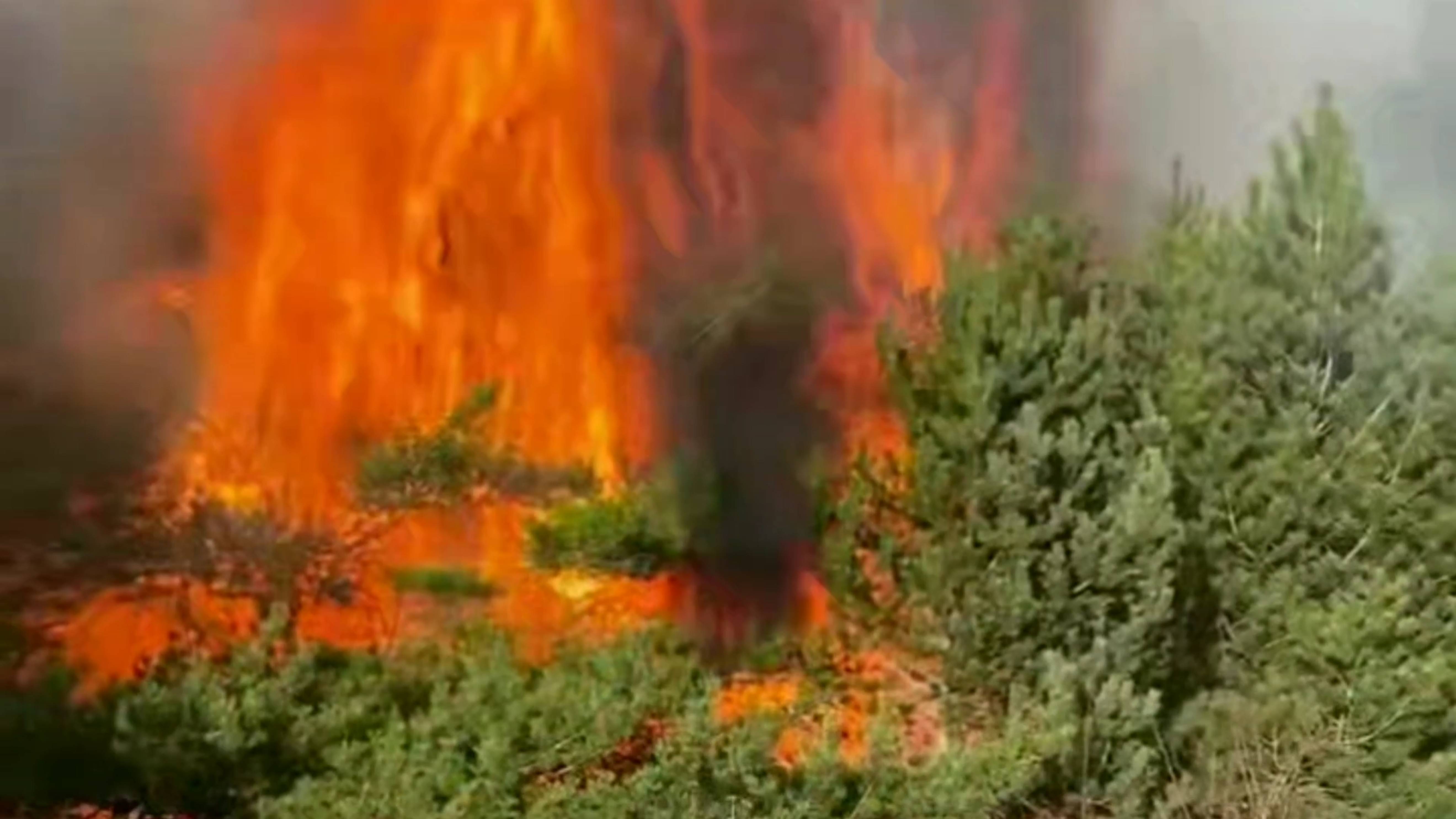 Пожар🔥на одном из излюбленных мест туристов - Хрюгский сосновый лес🌲🌳🌴-(ЮжДаг)