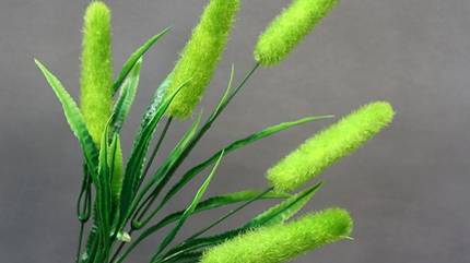 Колоски своими руками из синельной проволоки