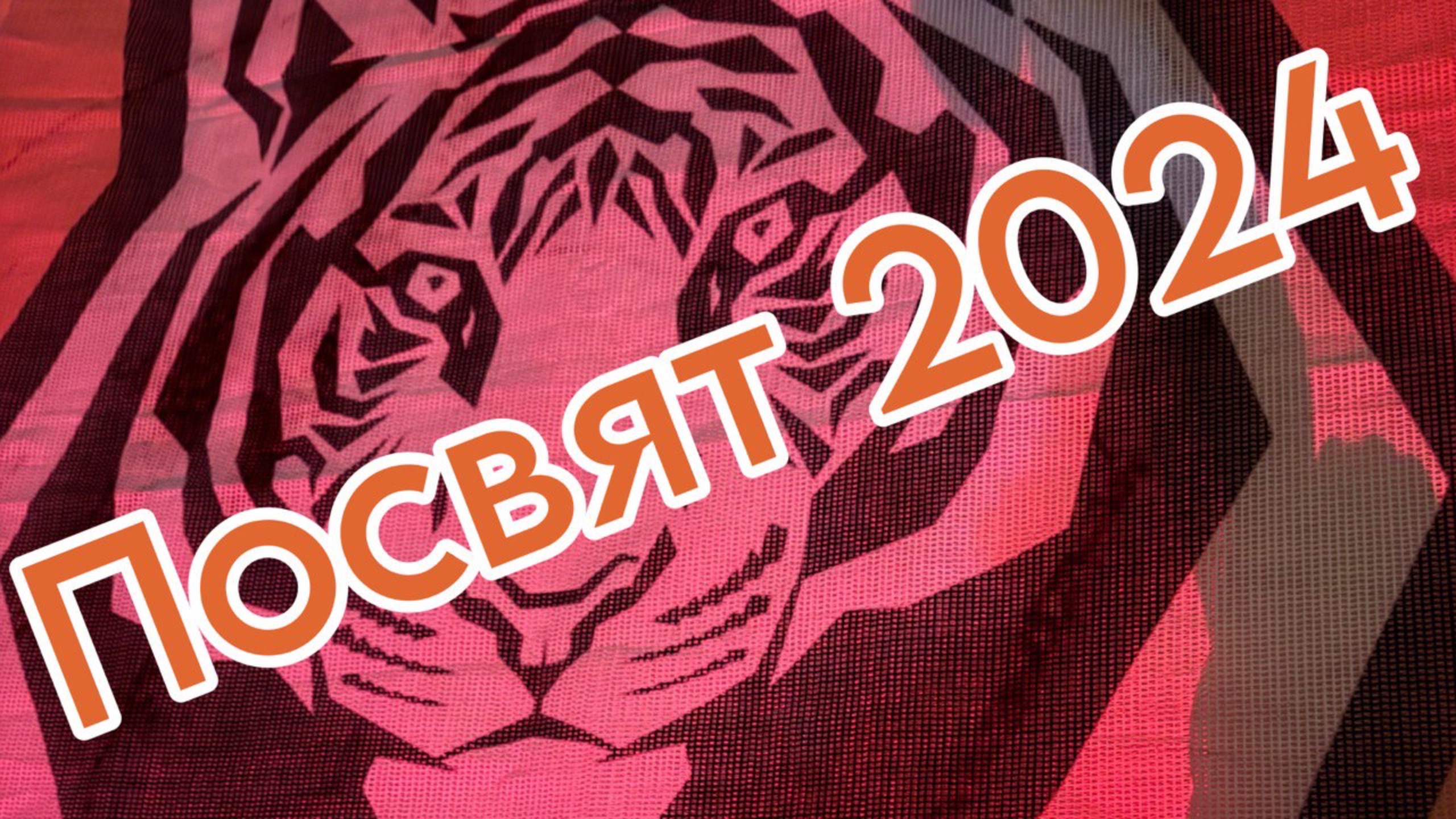 ТИГР РОДИЛСЯ! ЛЮТОЕ посвящение 2024