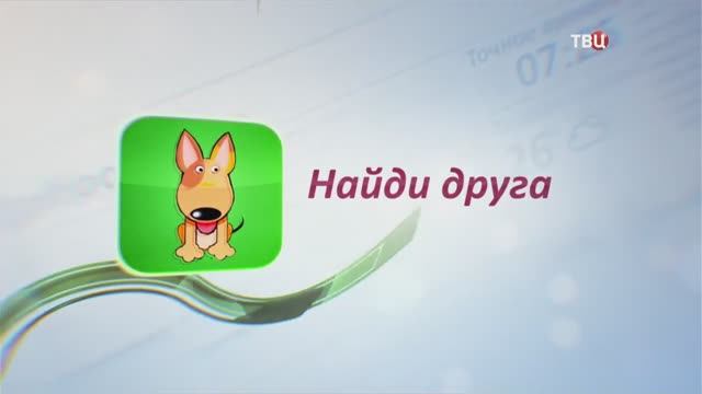 Кошечка Мессалина из "Муркоши" на телеканале ТВЦ