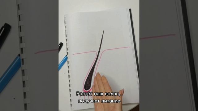 Принцип электроэпиляции