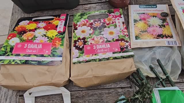 Понеслось...Начало положено! Новые цветочки на новые клумбы!)