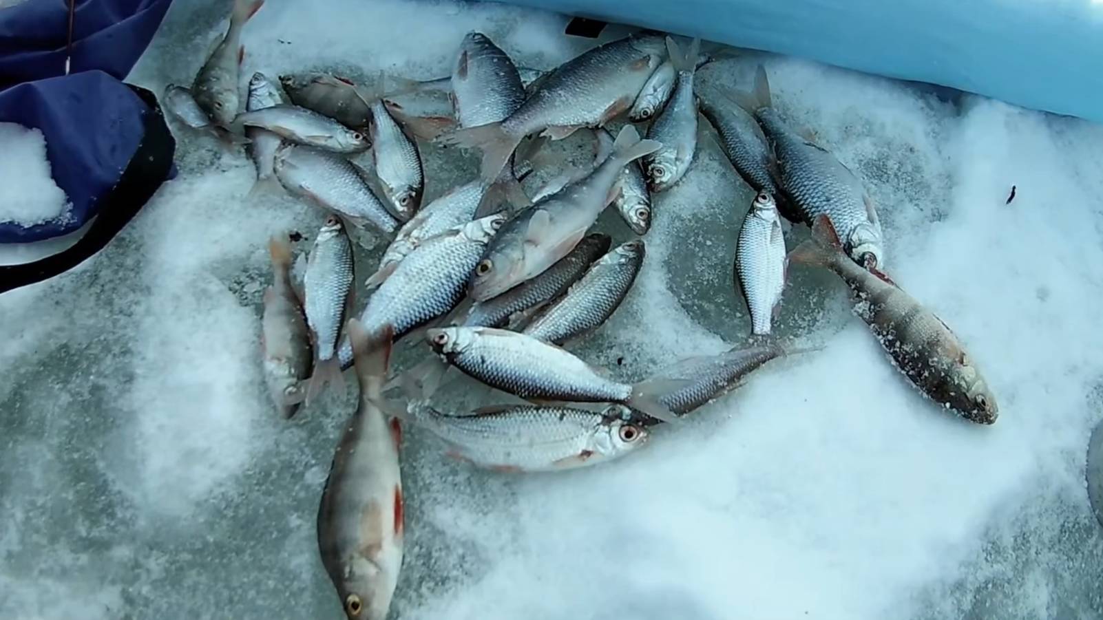 Зимняя рыбалка на лесном пруду в глухозимье. 30.01.2021.