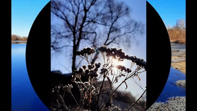 19-03-2025 ранняя утренняя прогулка