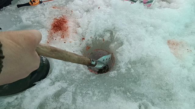 Опарыши бывают разные! 🤣 #рыбалка