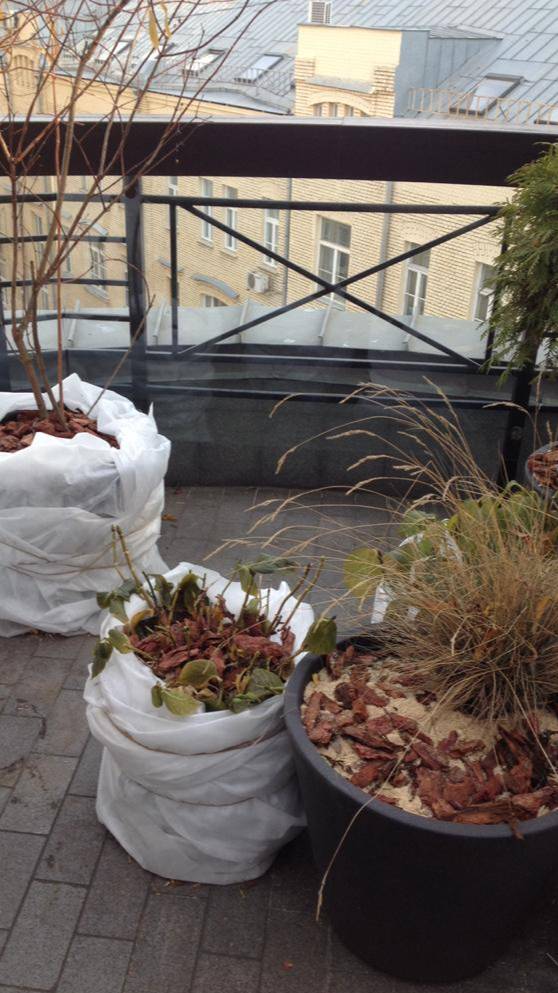 Укрытие контейнеров на Зиму