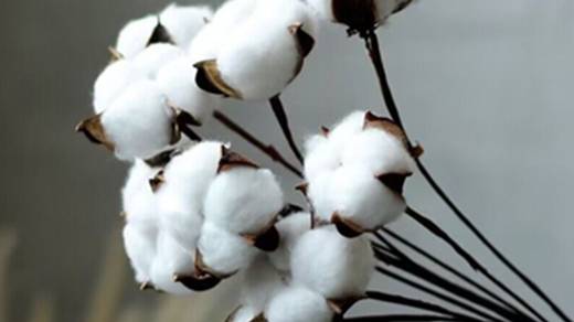 Букет ХЛОПКА своими руками из синельной проволоки