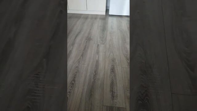 7 Мои котики в Анапе