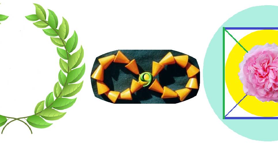 Утки. Соревнование.