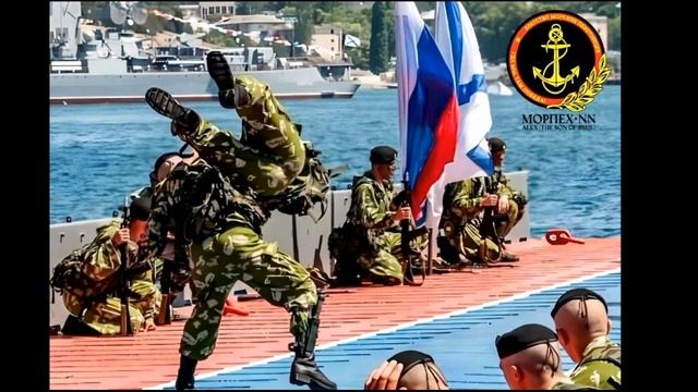 Песни Владимира Силкина о Специальной военной операции