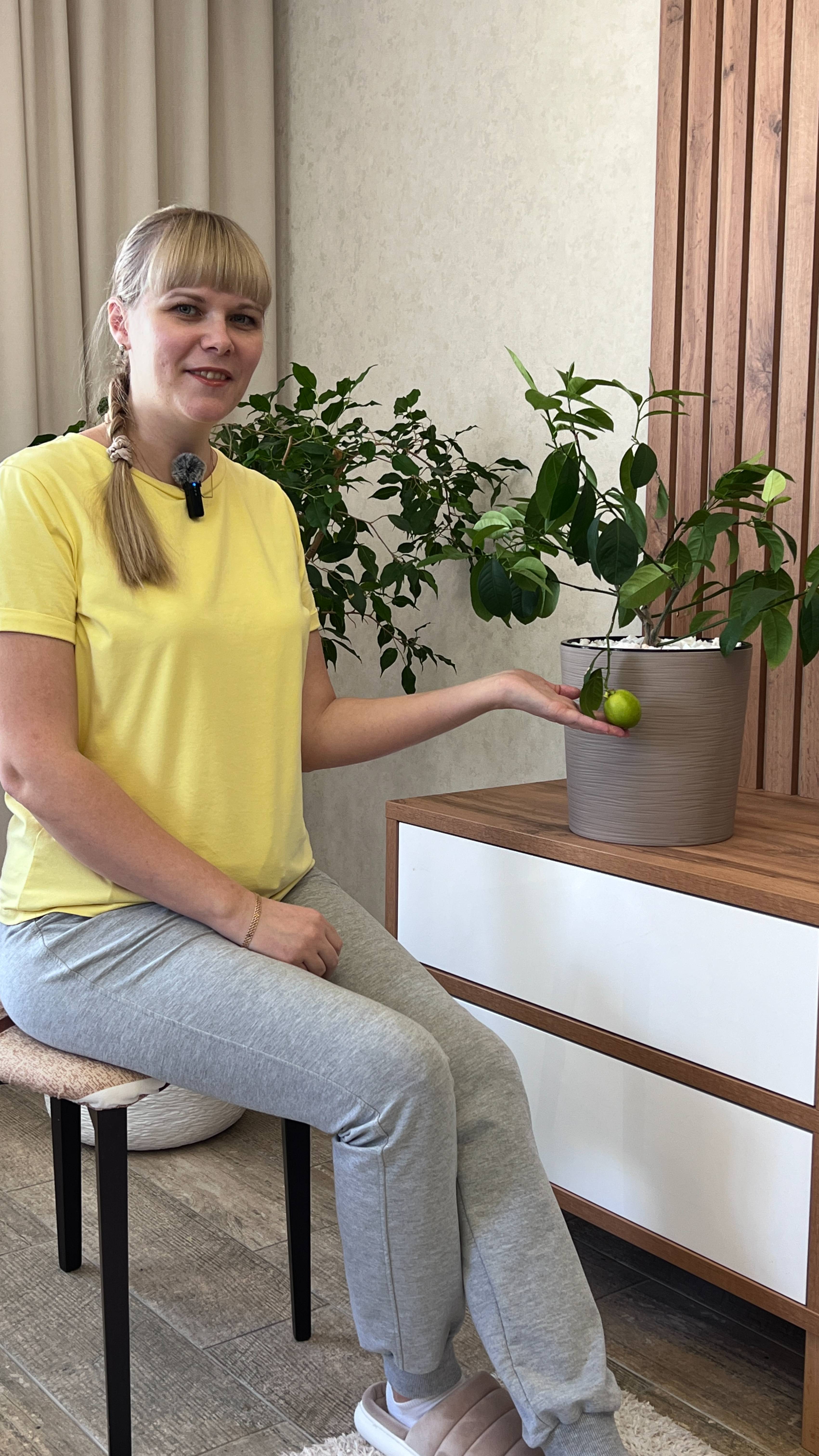 Лимон в домашних условиях. Особенности