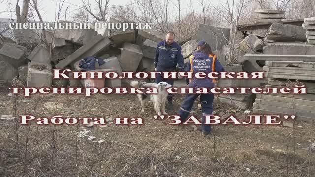 Кинологическая тренировка спасателей. Работа собаки на "завале"