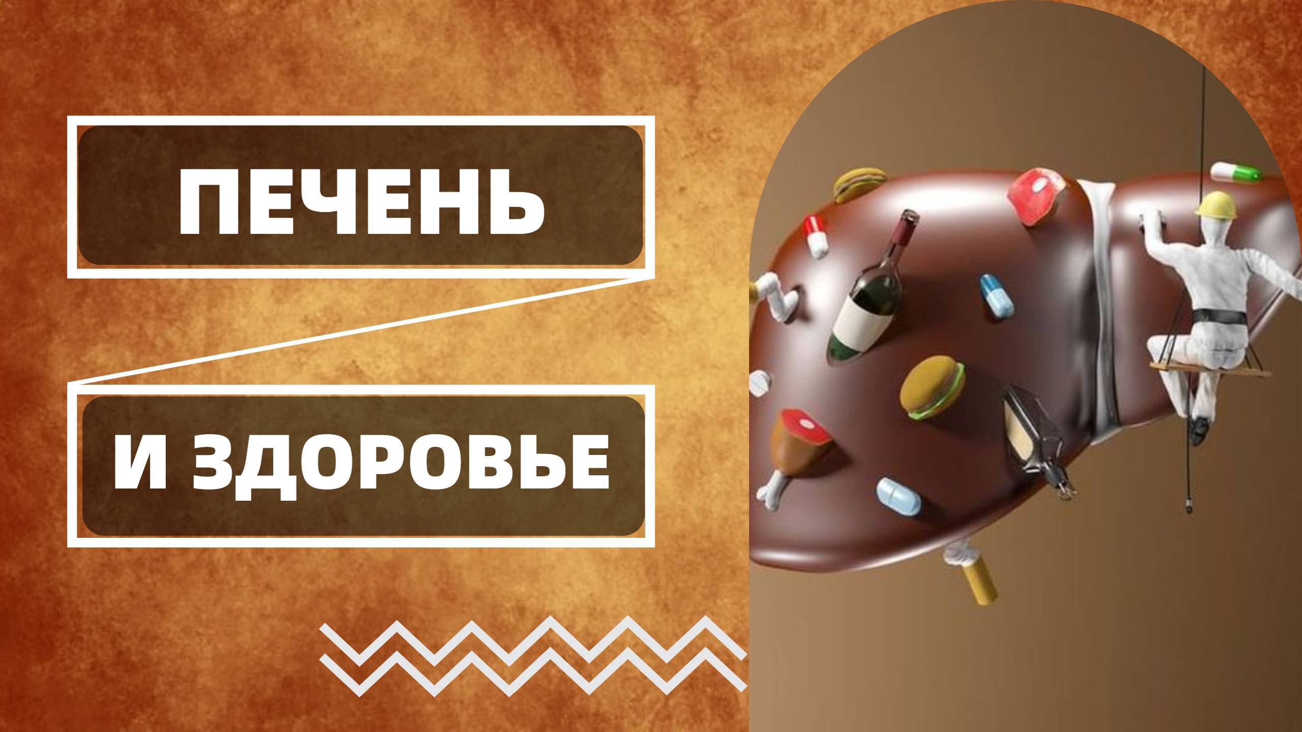 Здоровье и печень