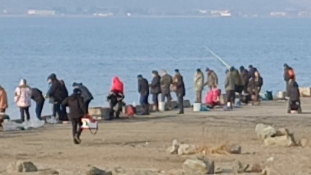 Минтай пошел