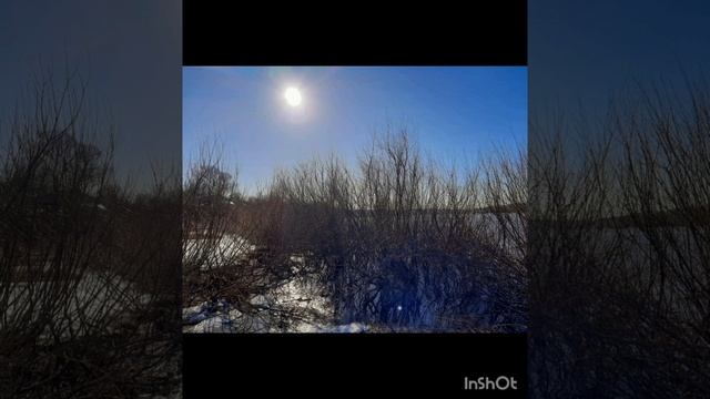 20-03-2025 20 Марта. Утренняя прогулка вдоль реки. Практически ничего не меняется.