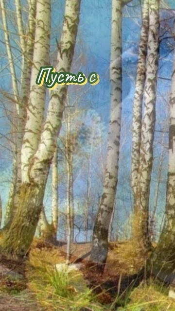 Счастливого дня!💐#доброеутро#весна#пожелания#shorts