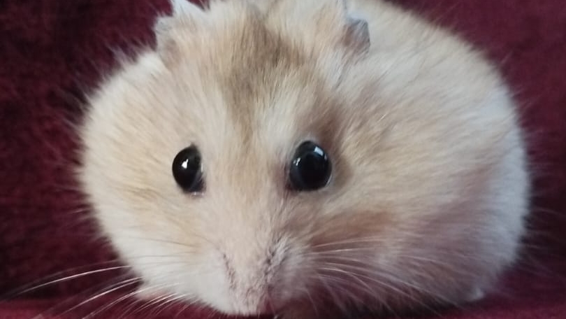 посмотрите видео это важно