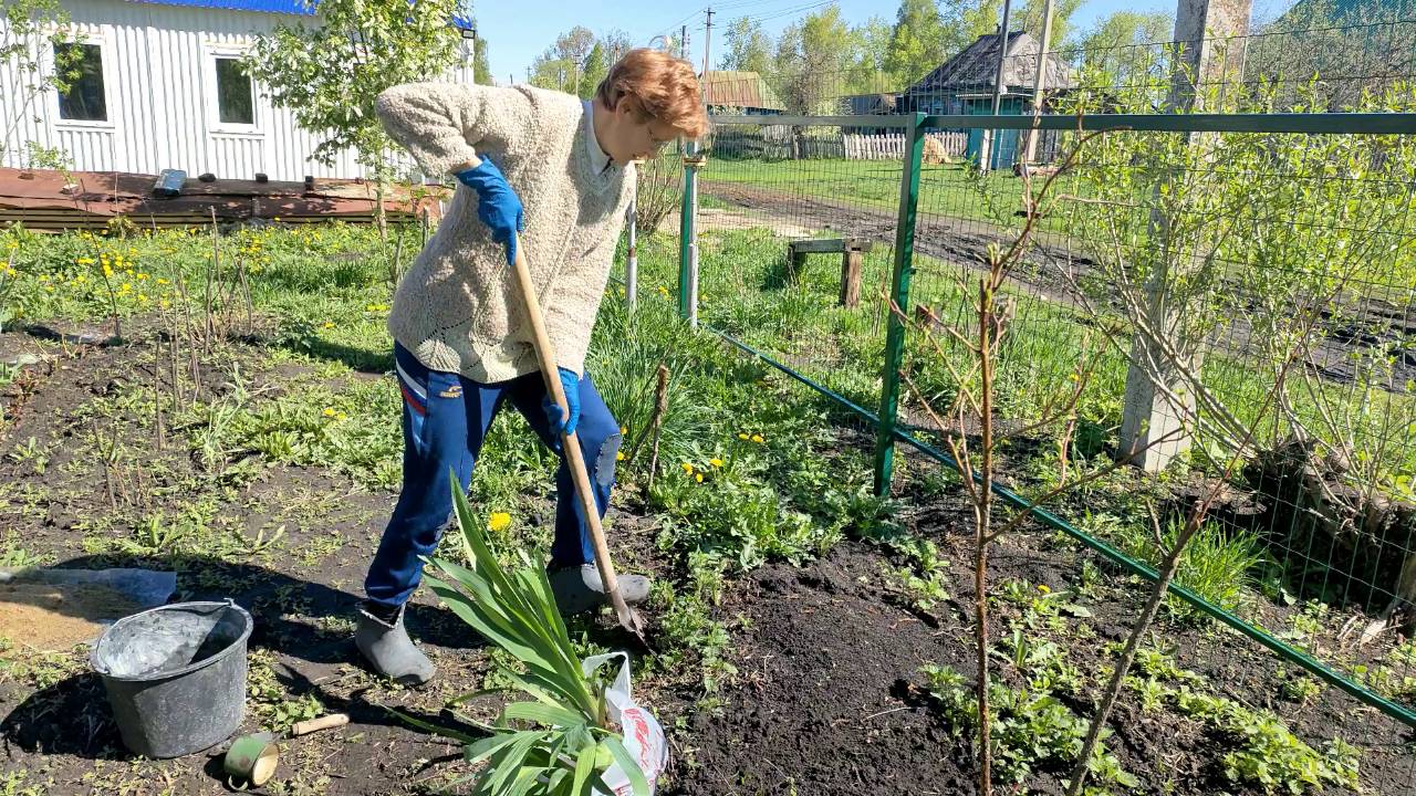 Архив 2023 г. Вернулись из города в село и сразу за лопату. Живем в деревне. Май