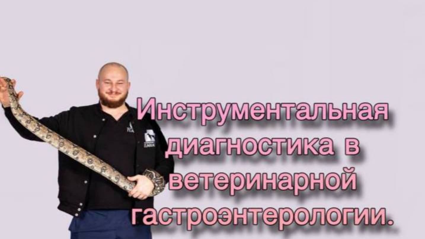Инструментальная диагностика в ветеринарной гастроэнтерологии.