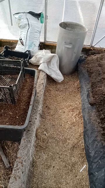 19.03. Подготовка теплицы к саженцам гортензий