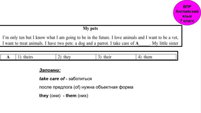ВПР Английский язык 7 класс Задание 3 My pets Грамматика ПРОПУСК  (А)