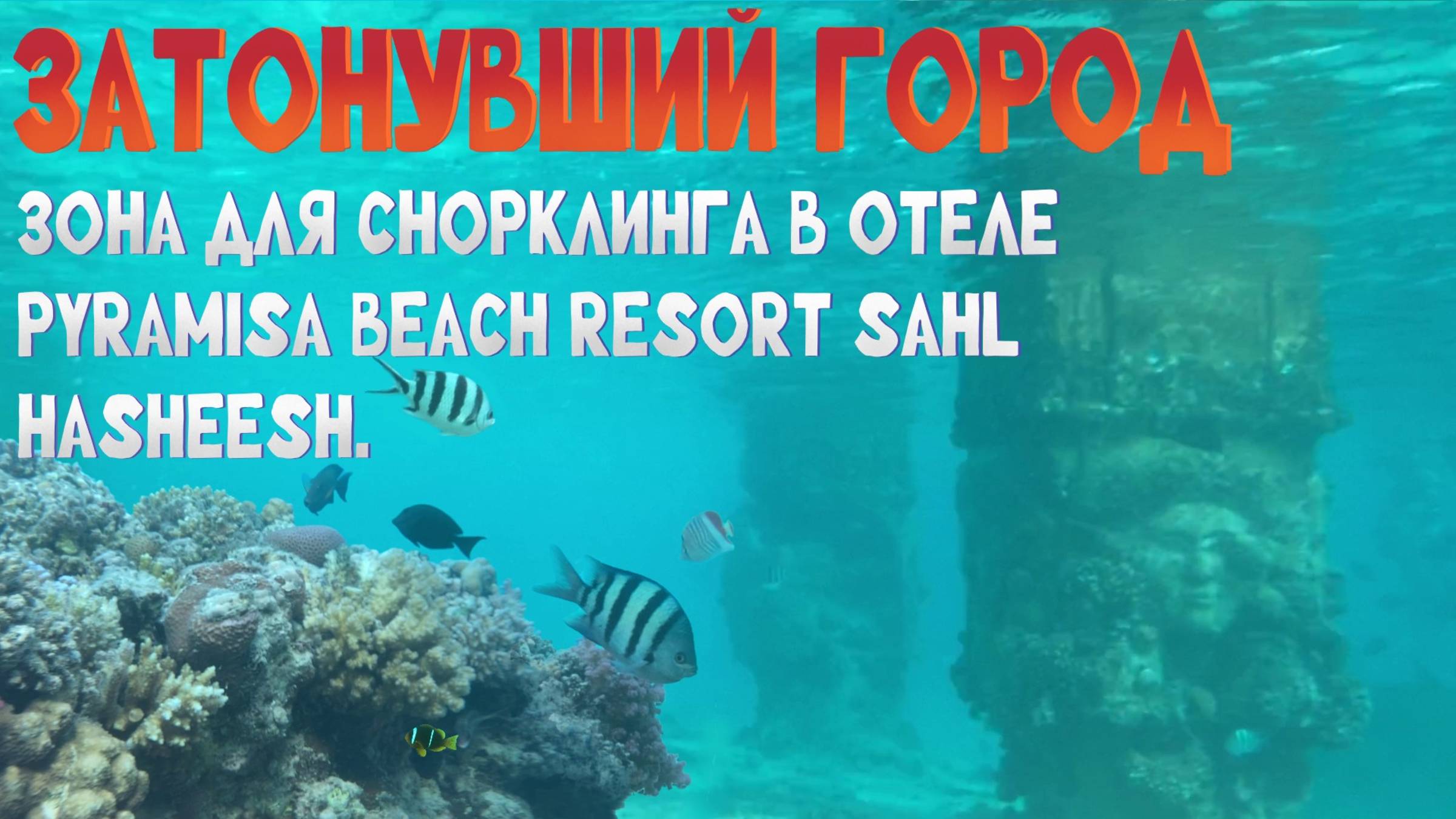 Зона для снорклинга в отеле Pyramisa. Обитатели затонувшего города.