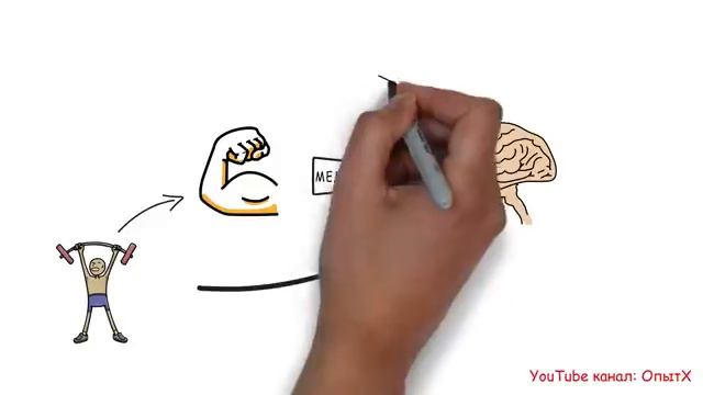 Сила Воли. Как развить и укрепить (5 способов) - Келли Макгонигал _ Обзор книги (360p)