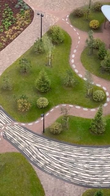 Благоустройство ЖК Сибирь вид сверху