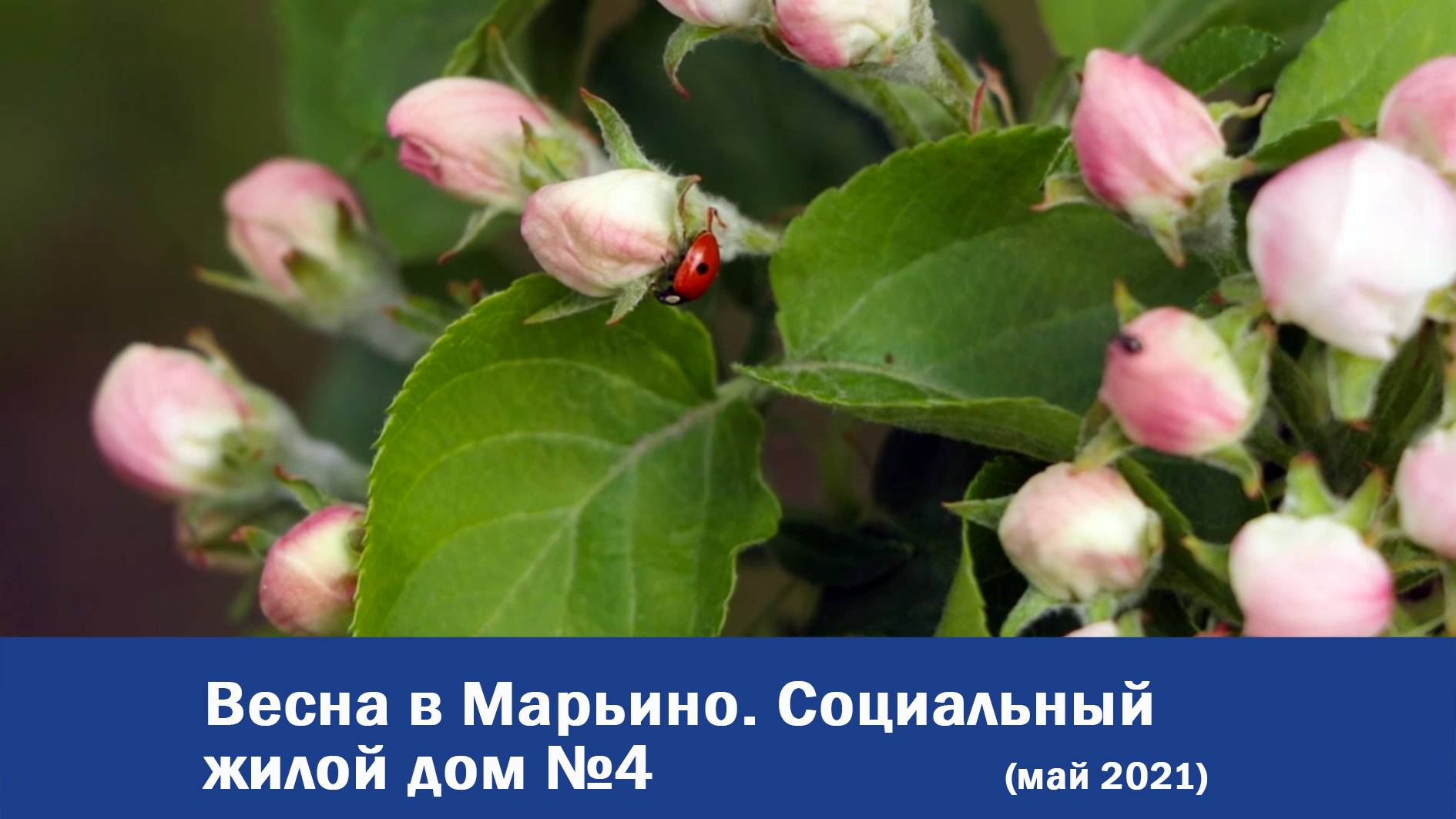 Весна в Марьино.