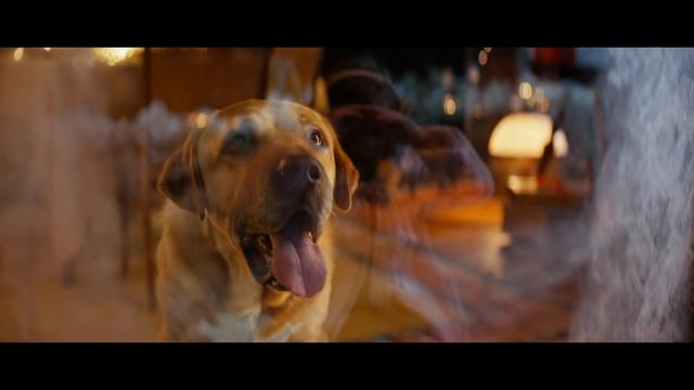 Искристые лимонады и кола Черноголовка, с новогодним настроение внутри.