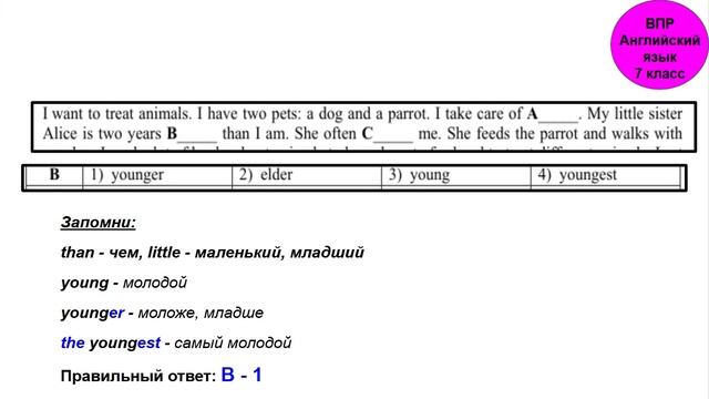 ВПР Английский язык 7 класс Задание 3 My pets Грамматика Часть 2 ПРОПУСК  (B)