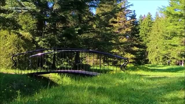 Песнь от сердца Господу Иисусу! Лидия