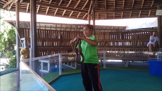 🐍 ШОУ ЗМЕЙ В ТАИЛАНДЕ: ОПАСНАЯ ЭКЗОТИКА И АДРЕНАЛИН! 🌴
