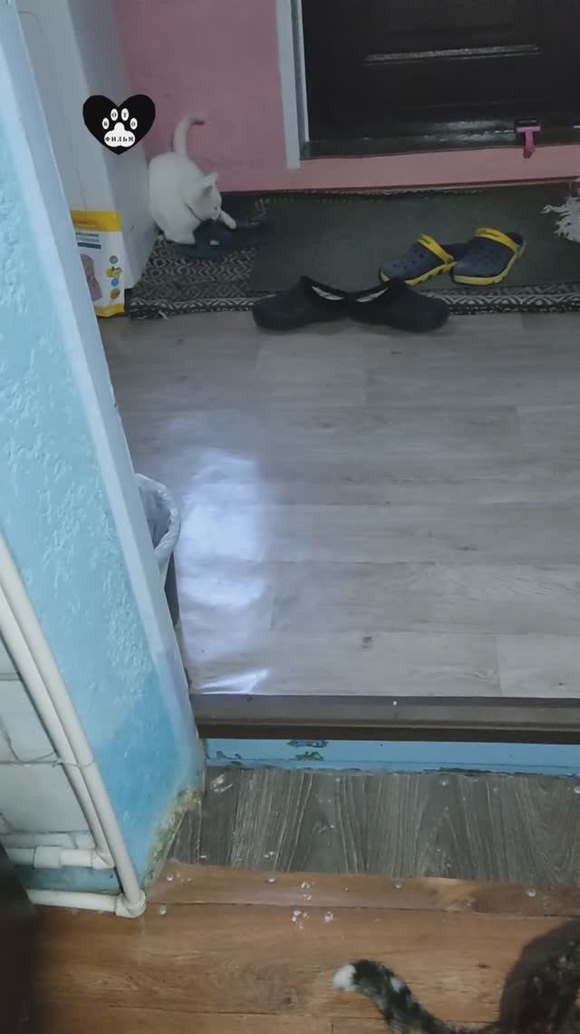 Сланцы не на месте