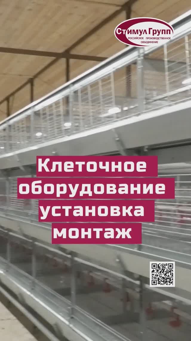 Монтаж клетки #chicken #poultry #птицеводство