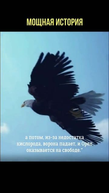 Мощная история #мотивация #достижениецелей #успех #саморазвитие #вдохновение #верьвсебя #тыможешь