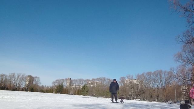 Тренинг с отвлечениями :) Март 25