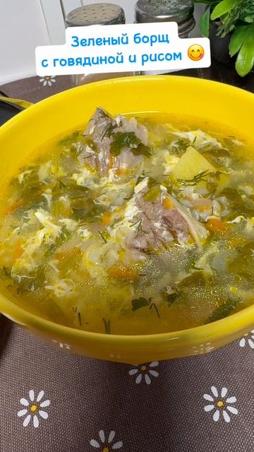 Зеленый борщ с говядиной и рисом.